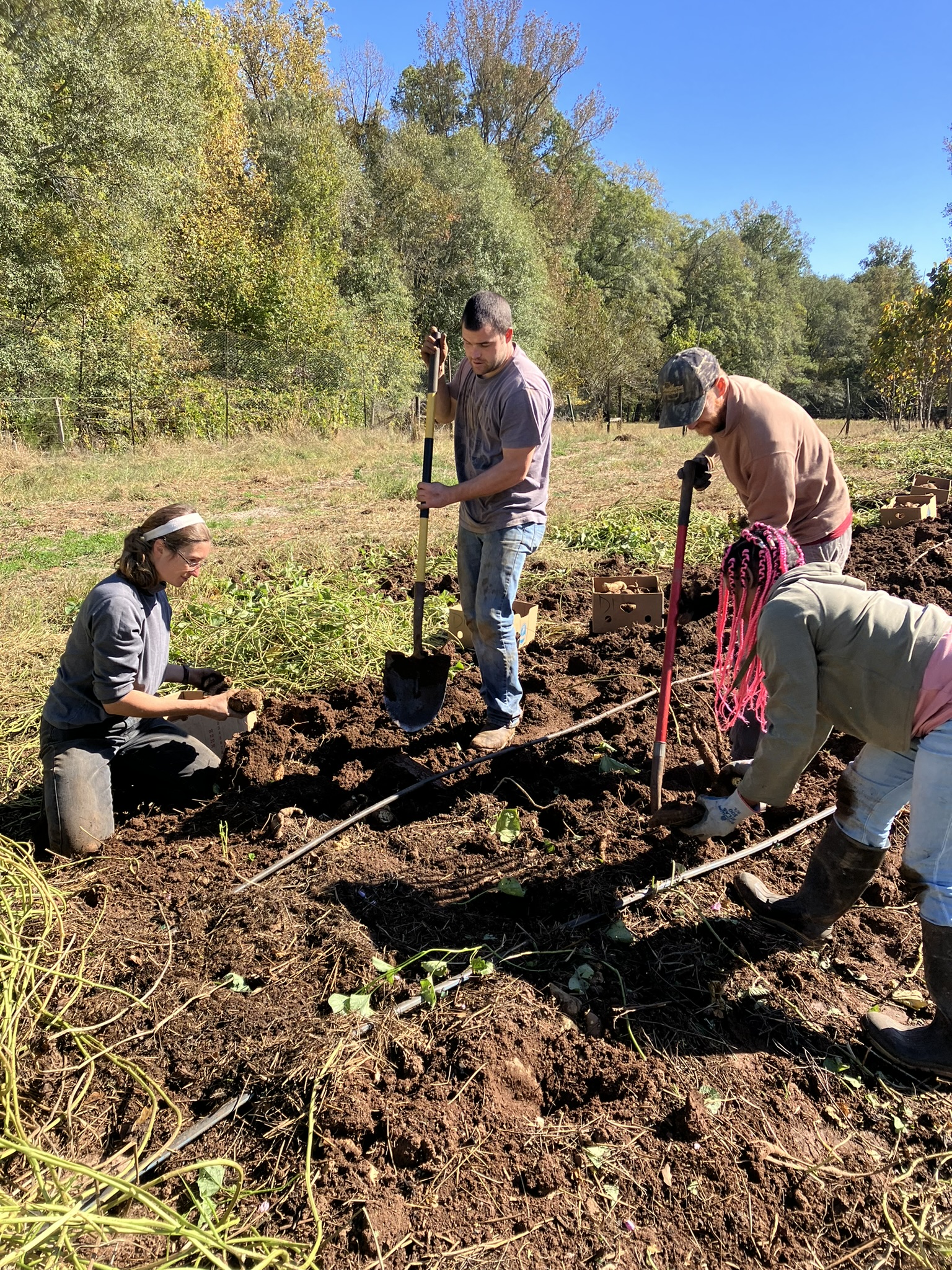 Fall Harvest at Jubilee Partners